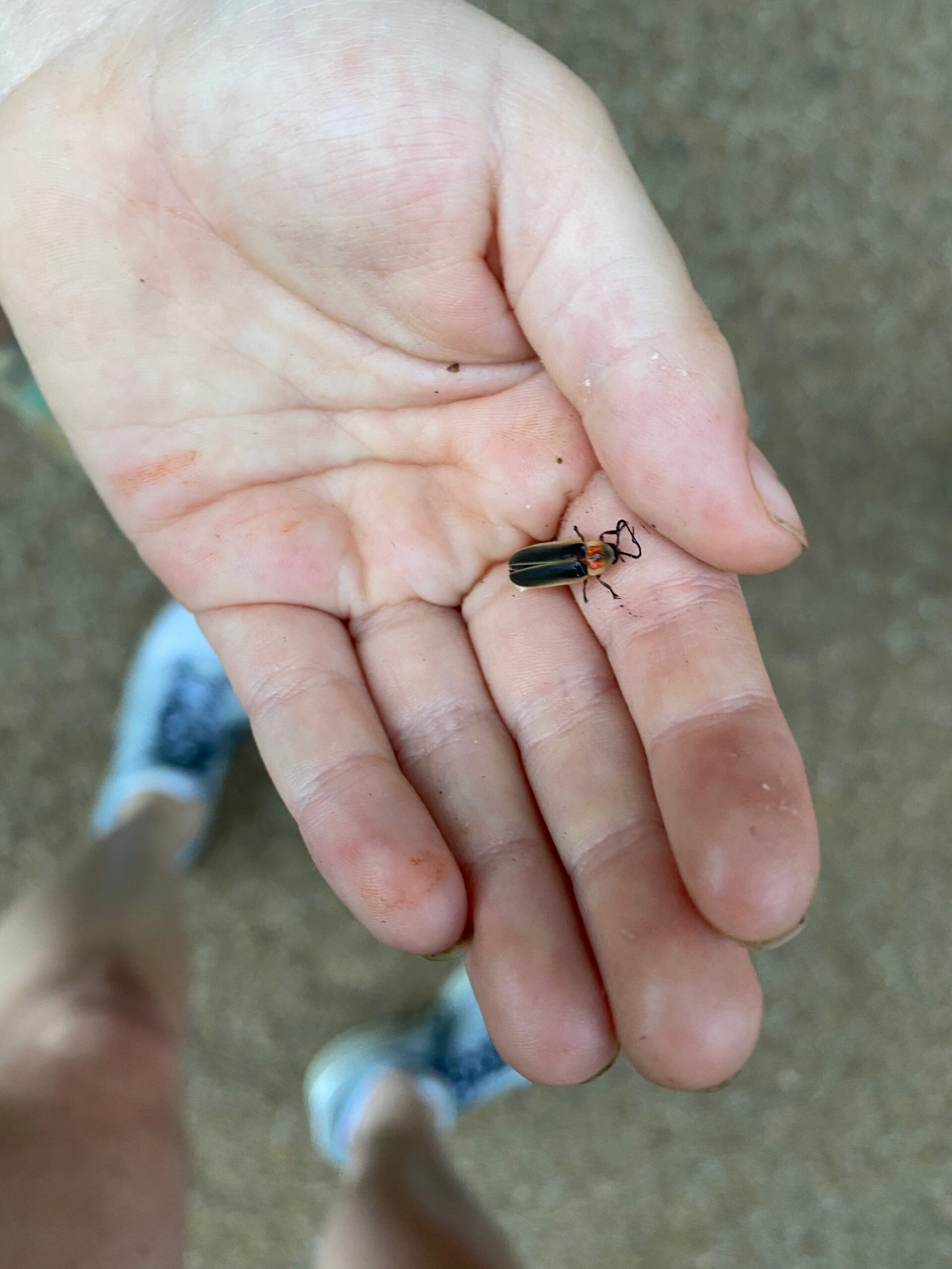 Nine Outdoor Activities to Do With Your Kids • Mom Hacks